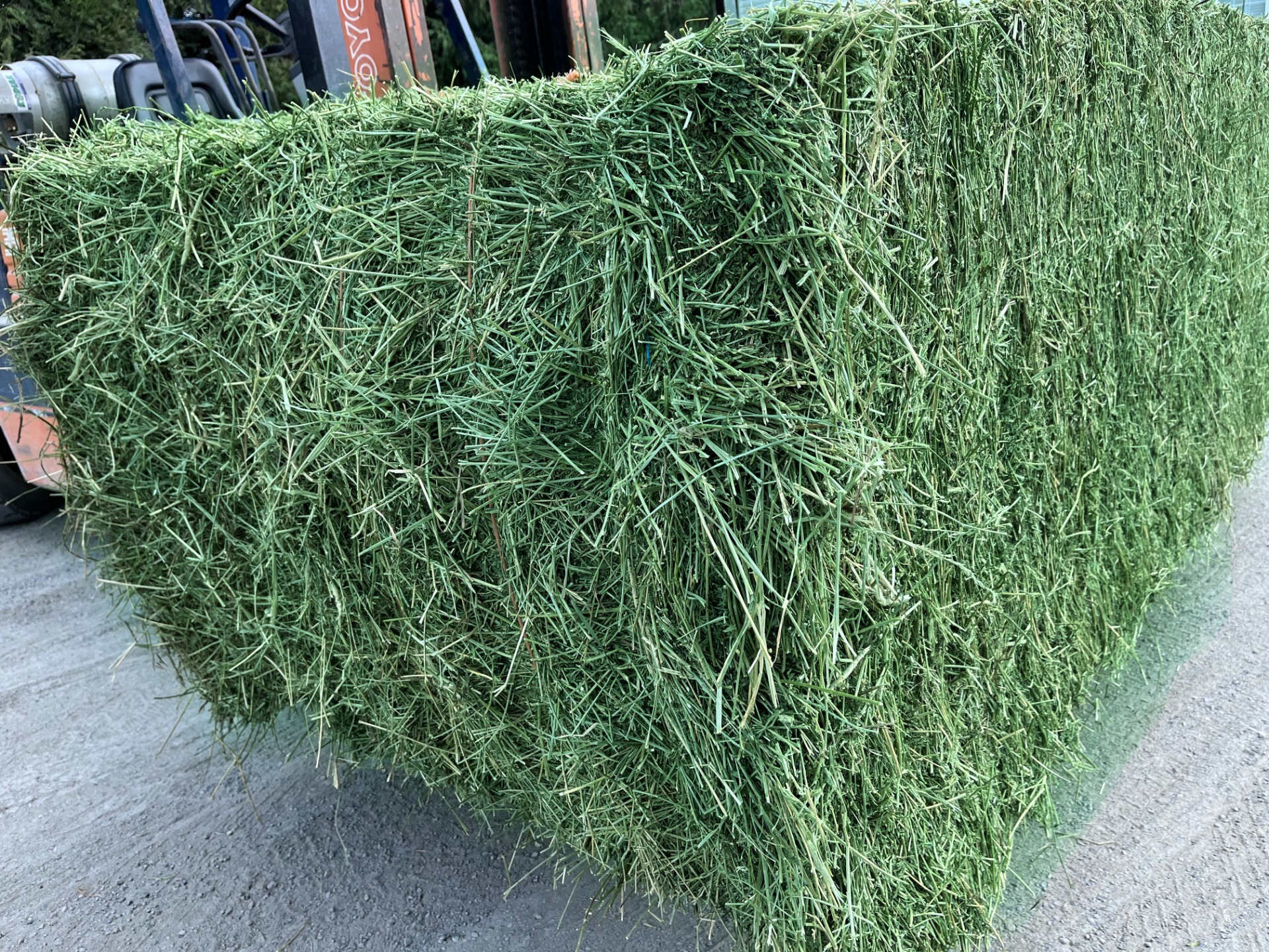 Bales Sales with pictures :: Fraser Valley Hay Brokers
