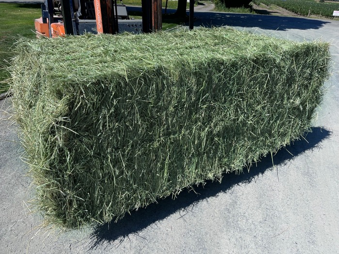 Bales Sales with pictures :: Fraser Valley Hay Brokers