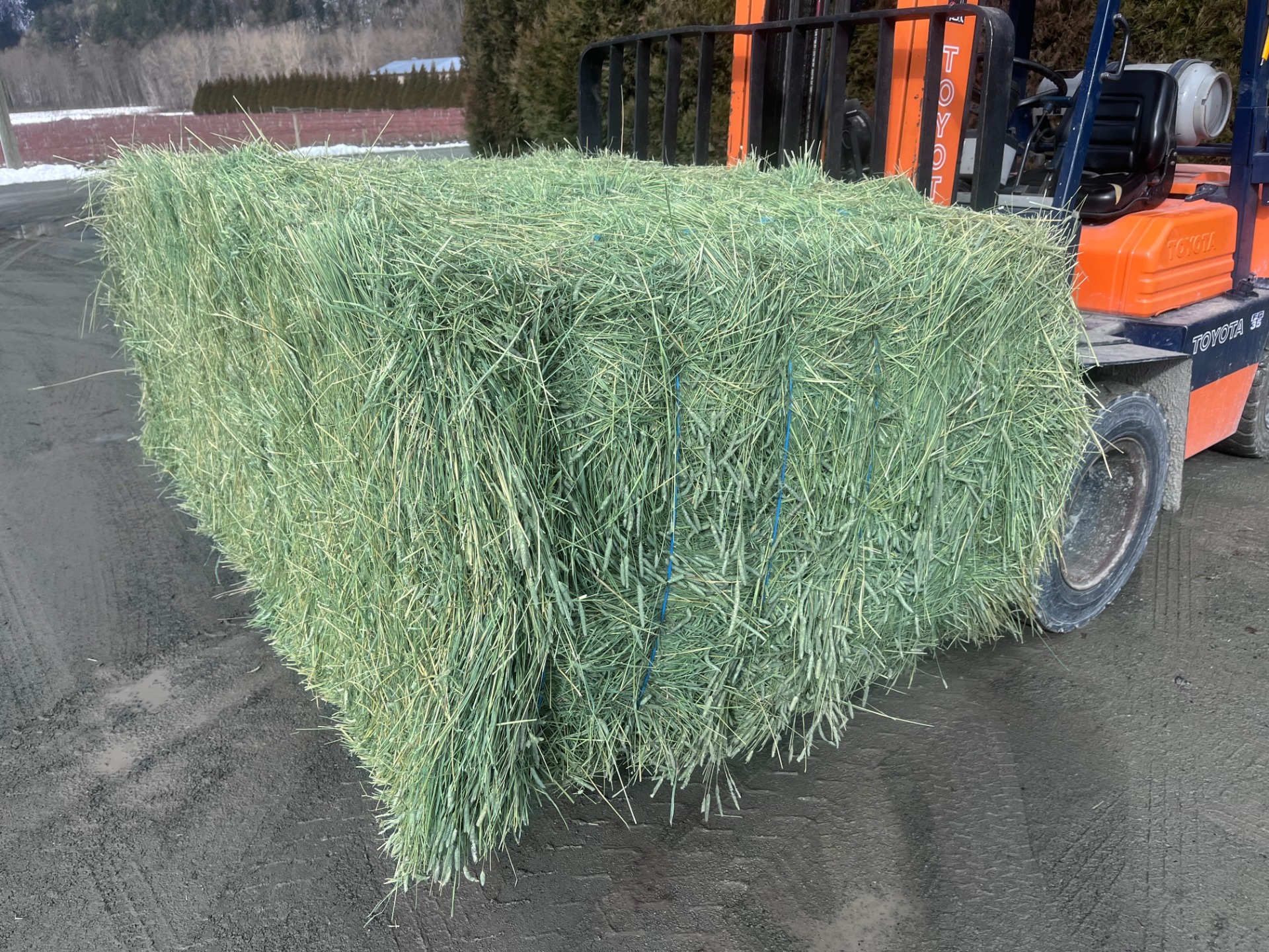 Bales Sales with pictures :: Fraser Valley Hay Brokers