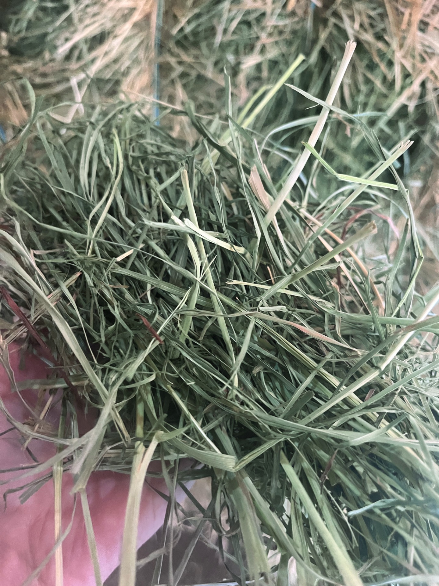 1st Cut Orchard Grass 3x4 Bales :: Fraser Valley Hay Brokers