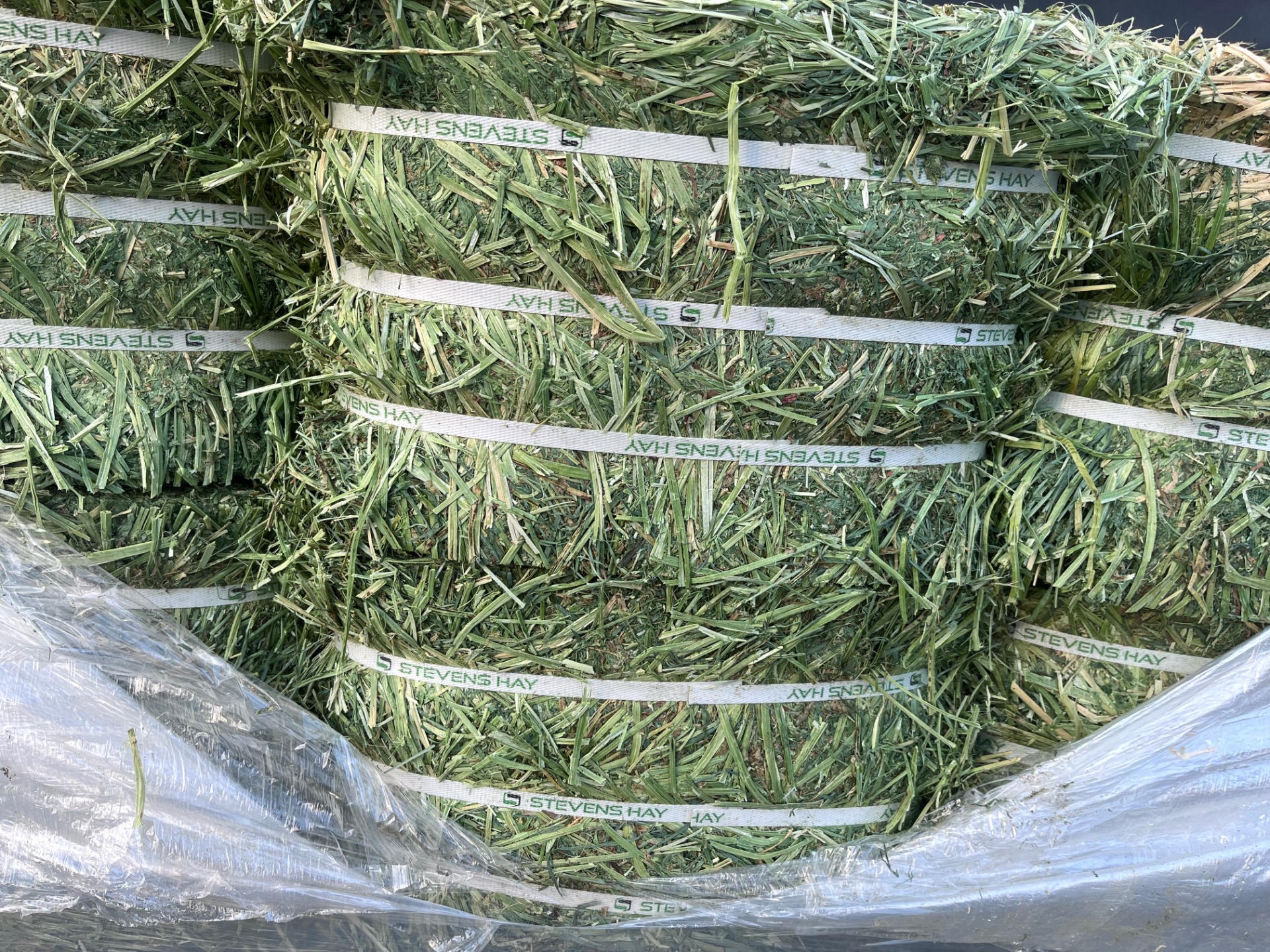 Compressed Timothy Alfalfa Mix :: Fraser Valley Hay Brokers