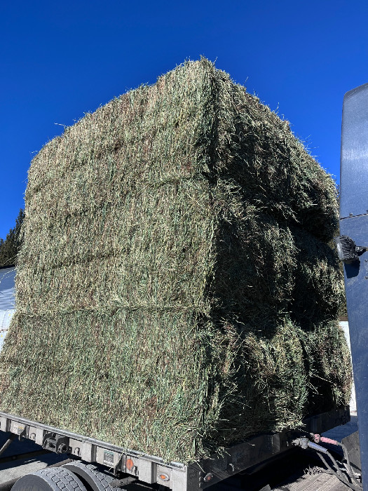 2nd Cut Timothy 3x4s :: Fraser Valley Hay Brokers