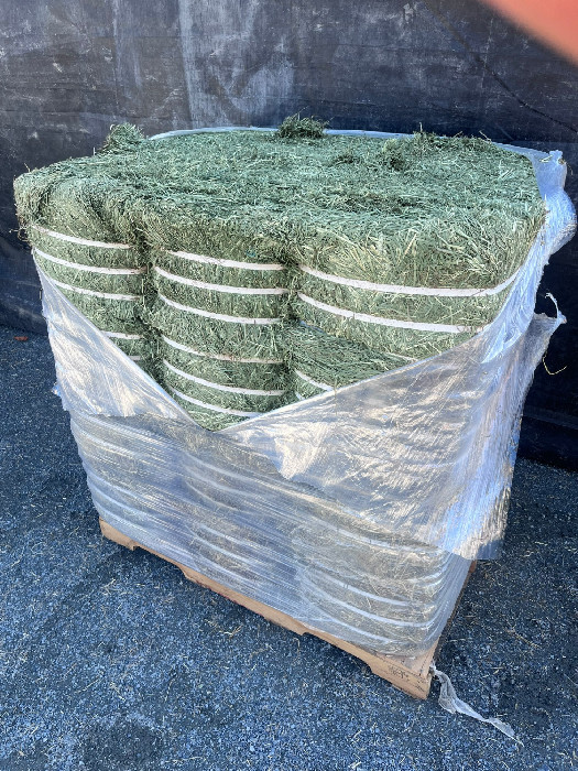 Compressed 3rd Cut Timothy :: Fraser Valley Hay Brokers